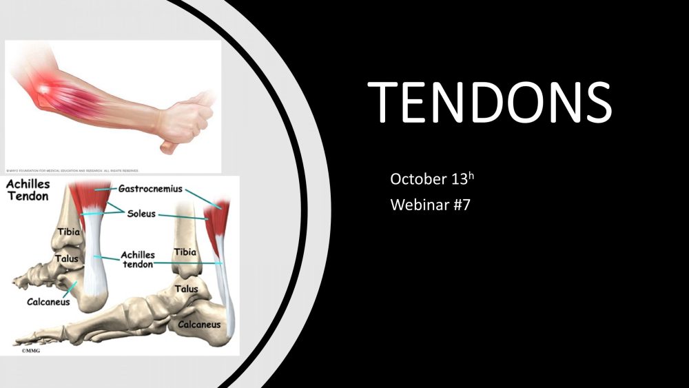 Webinar #7 – Tendon Problems – Recharge Biomedical