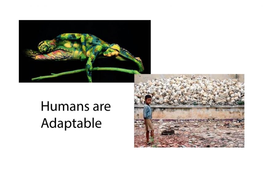 Humans are masters of adaptation – Recharge Biomedical